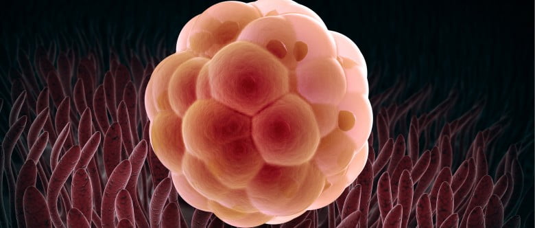 La donación de embriones en la República Checa