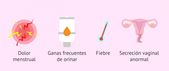 Salpingitis: definición, causas, síntomas y tratamiento